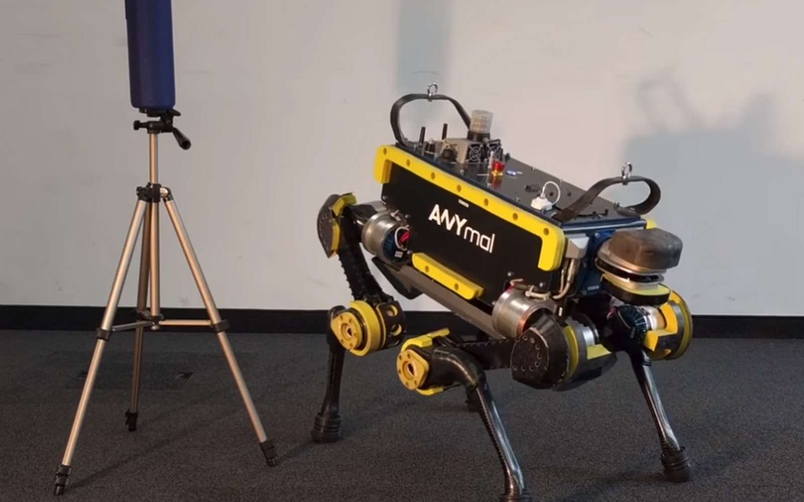 ANYmal, le robot qui a le rythme dans la peau