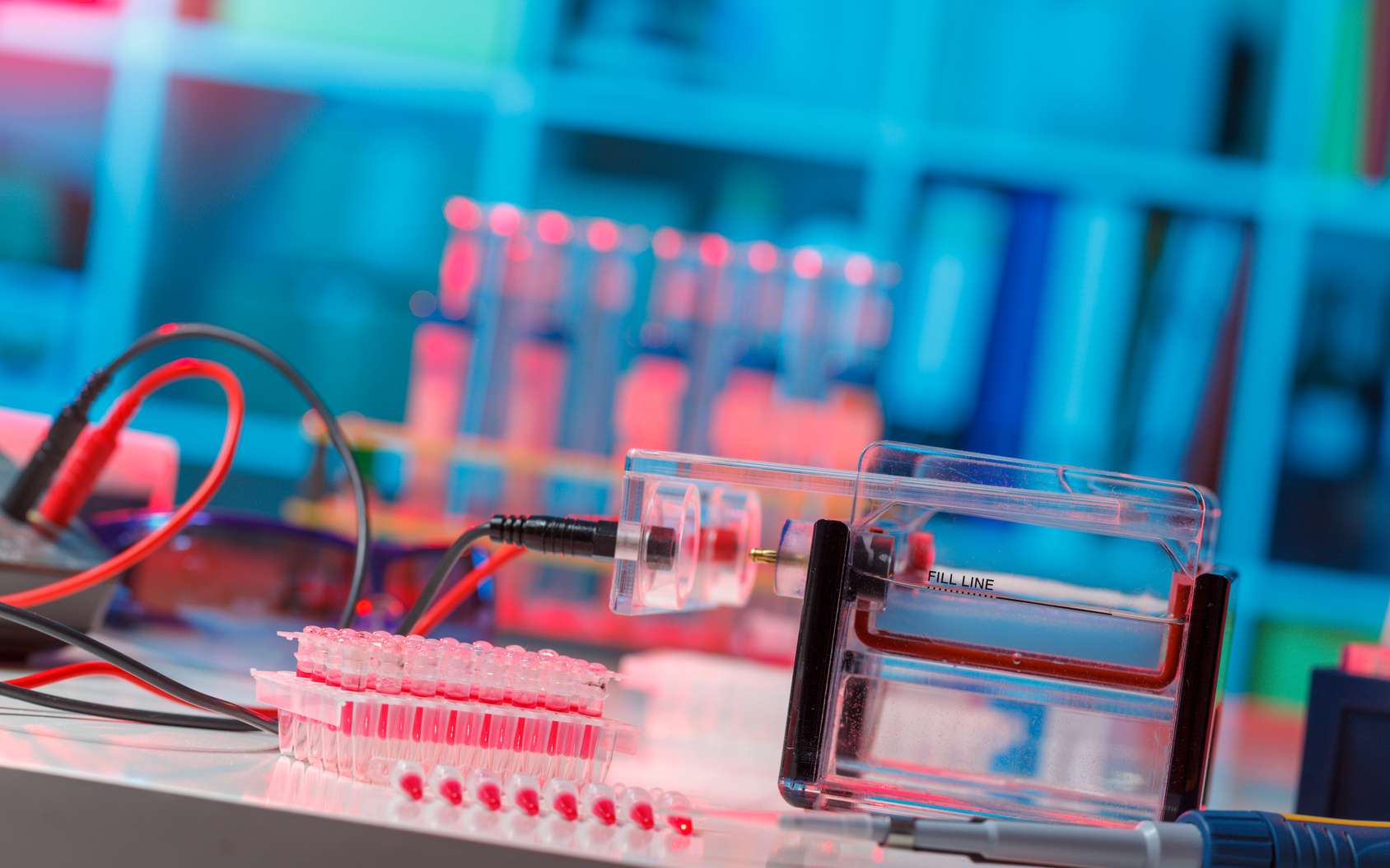 Définition | Électrophorèse | Futura Sciences
