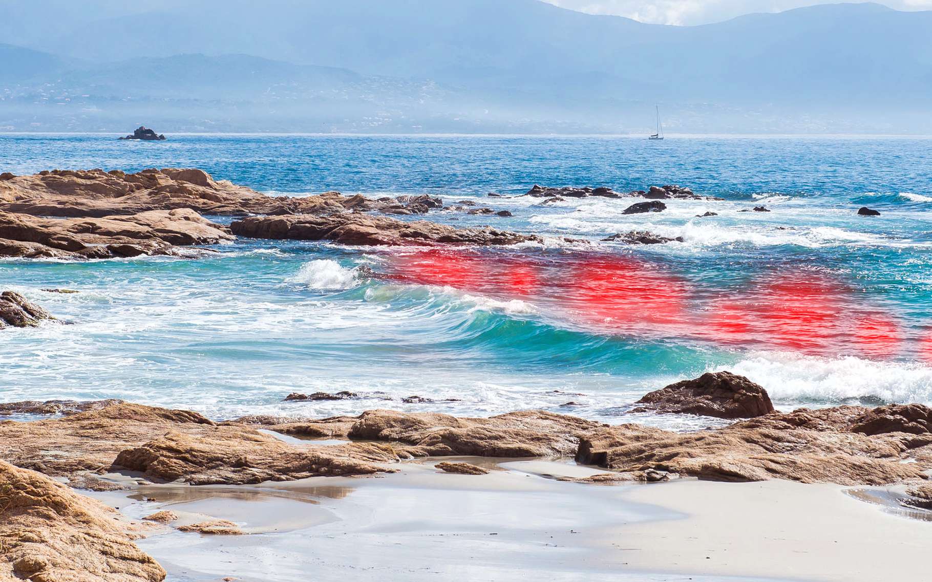 Les marées rouges | Dossier