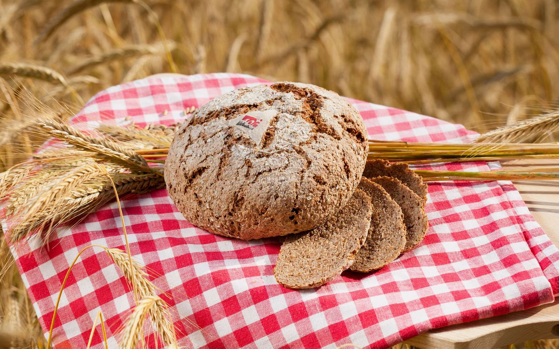 Céréales : le seigle, du pain au LSD | Dossier