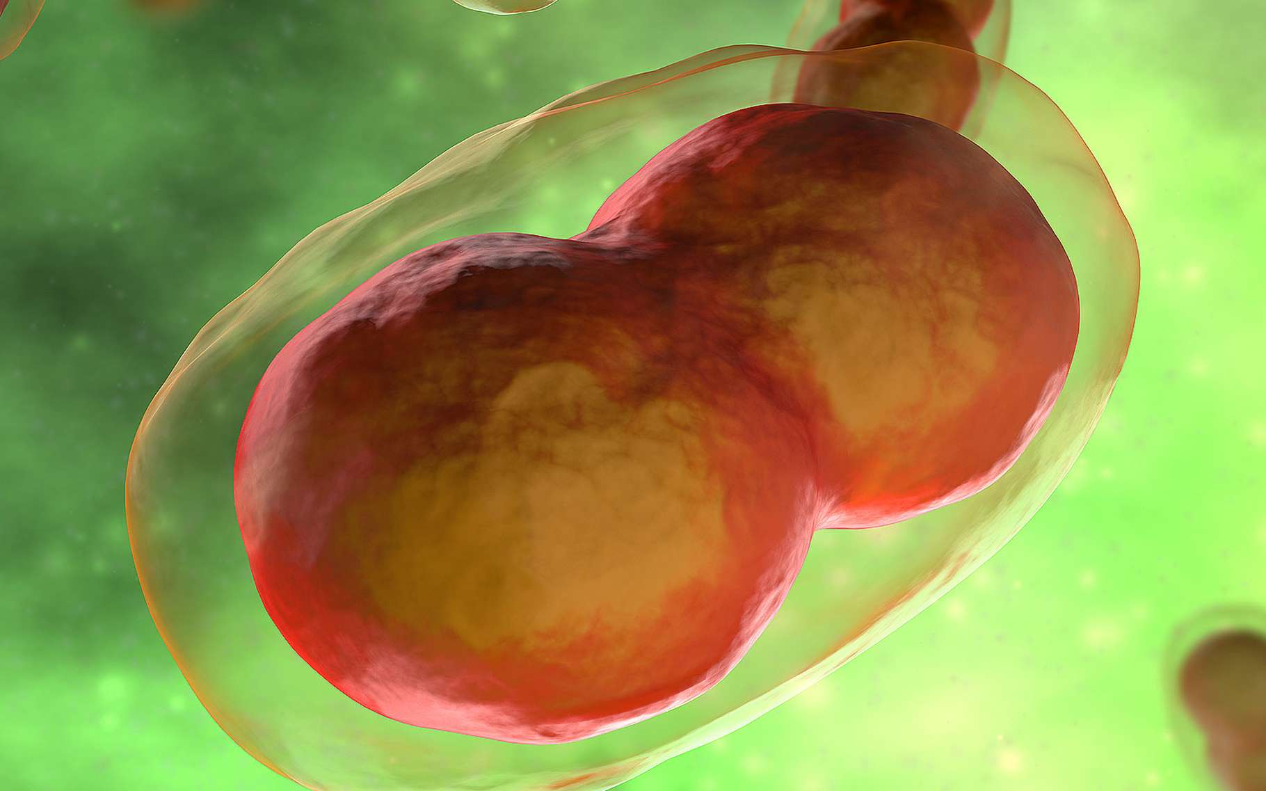 Vaccins célèbres : Edward Jenner et la variole | Dossier