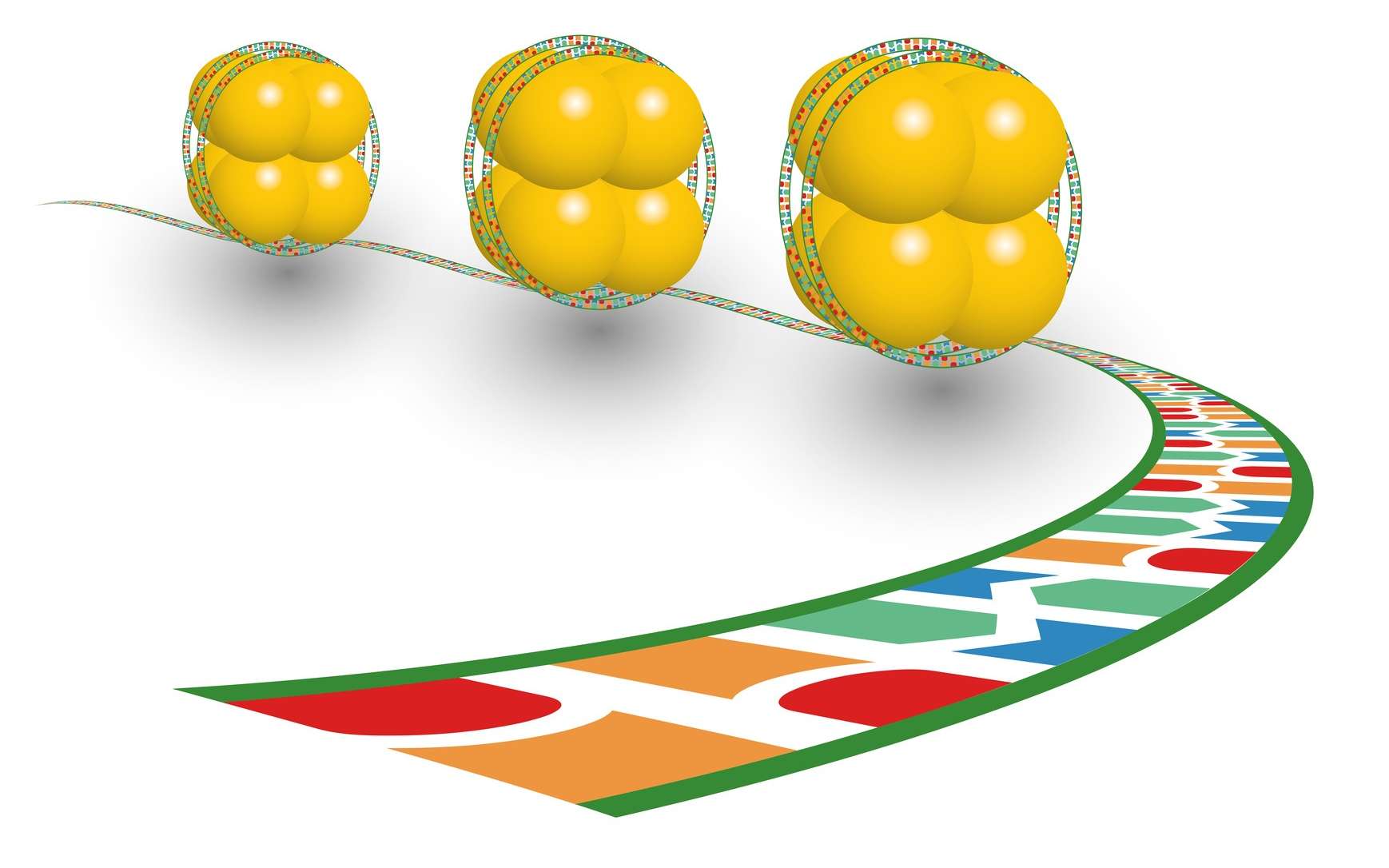 Définition | Histone | Futura Santé