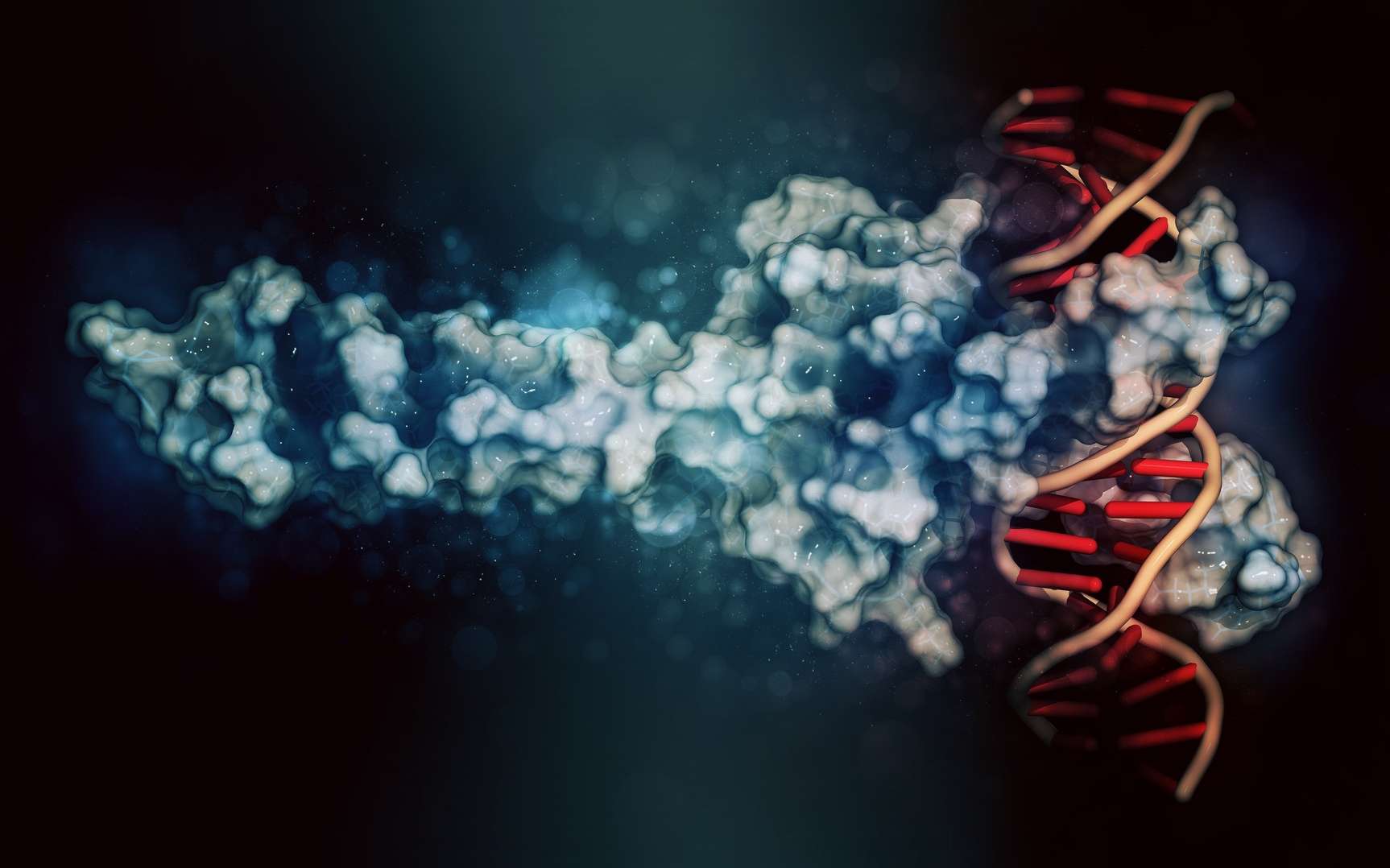 Définition | Proto-oncogène | Futura Santé