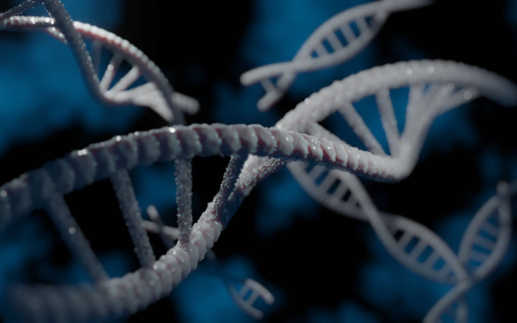 Un peu de génétique | Dossier