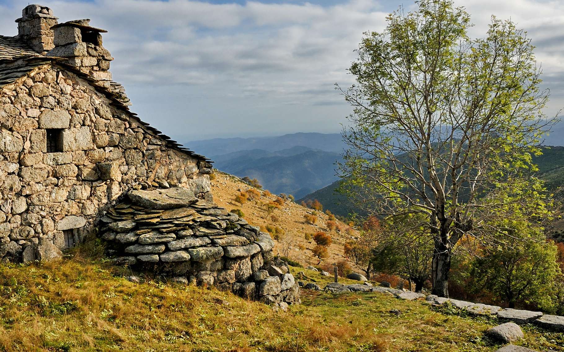 Le parc des Cévennes | Dossier