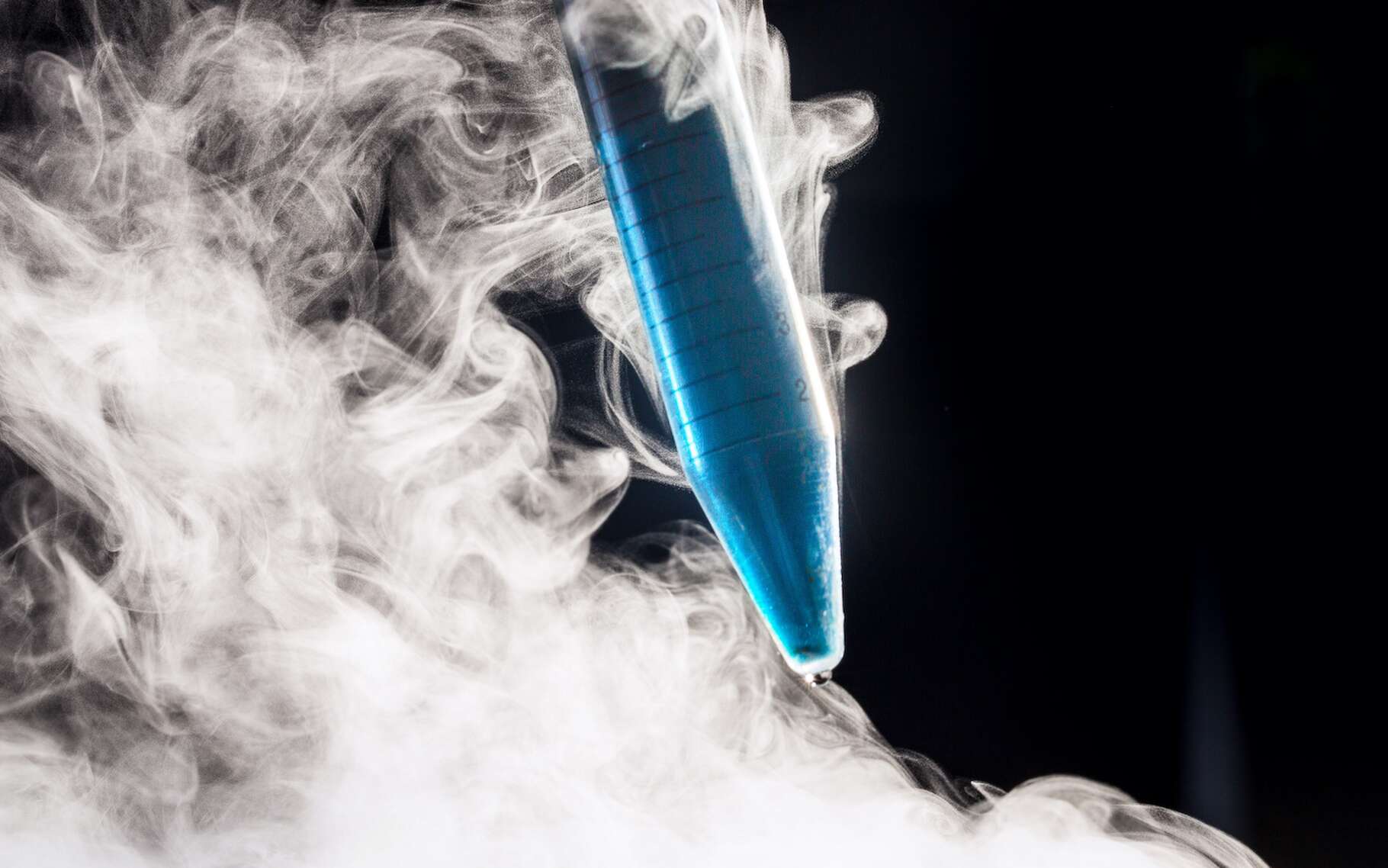 Nitrate, nitrite : quelles différences