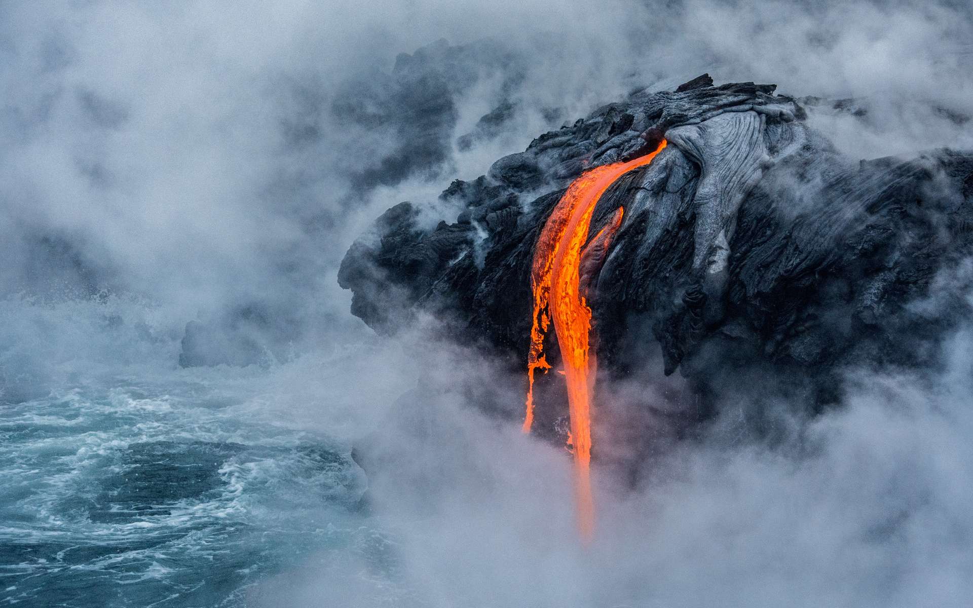 Les plus belles images de science de 2017