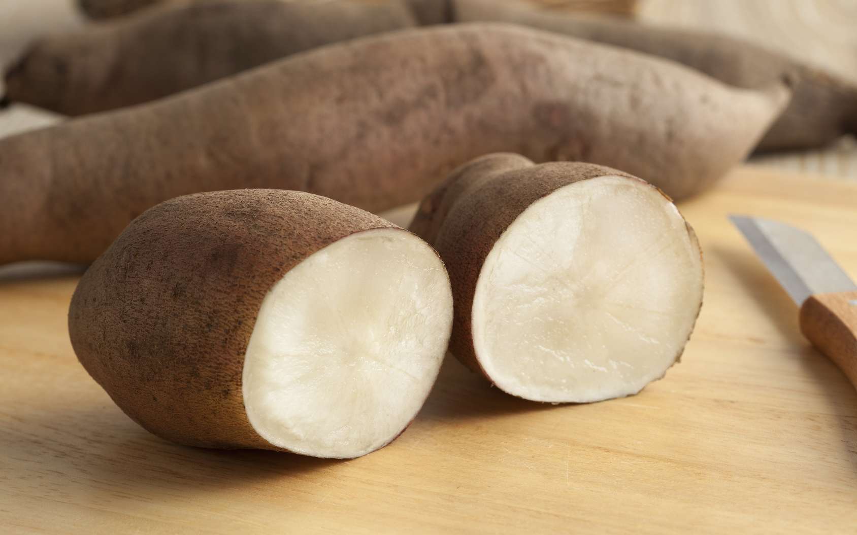 Définition | Yacón - Poire de terre - Smallanthus sonchifolius | Futura ...