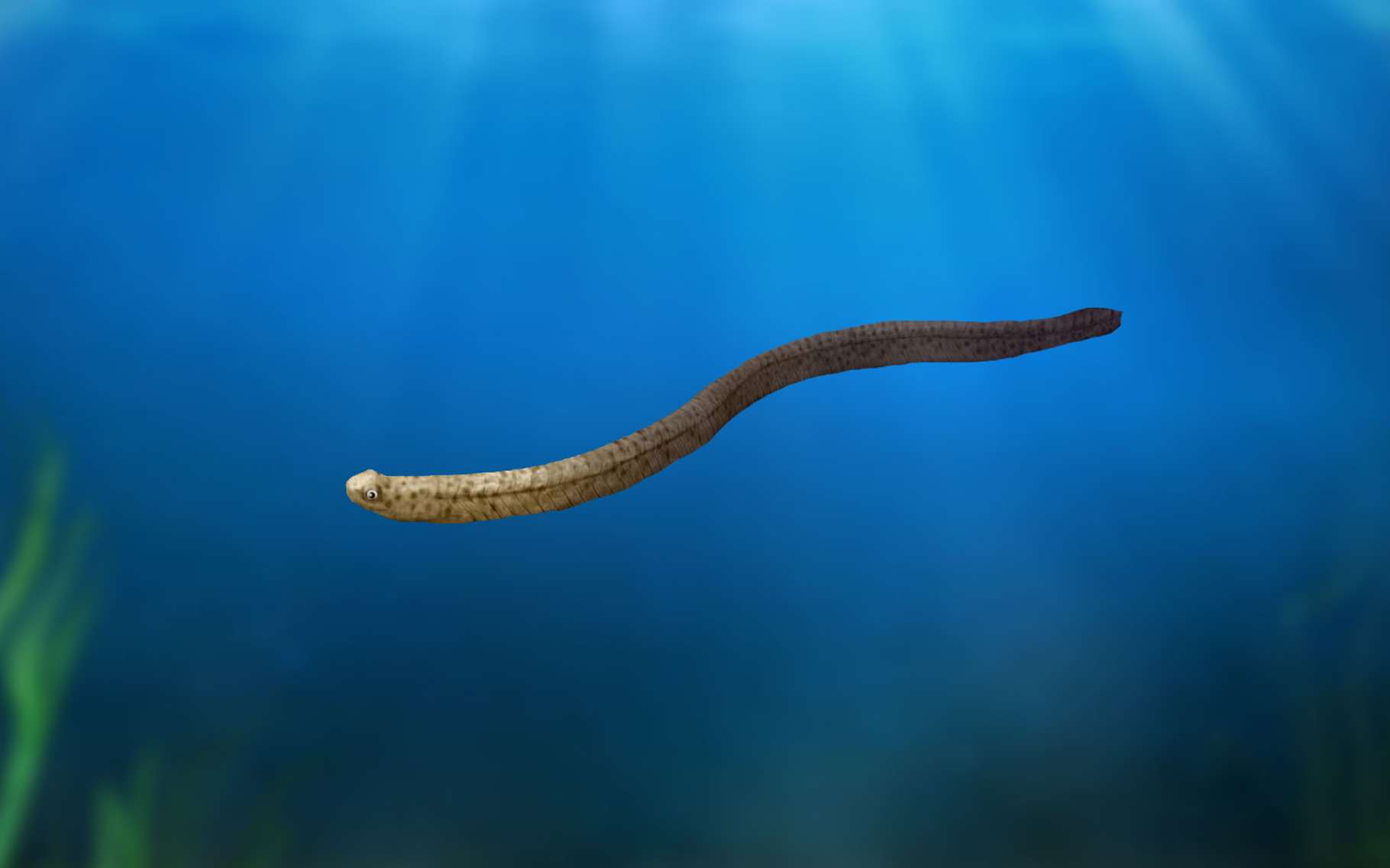 Introduction : explosion cambrienne et processus évolutif du monde ...