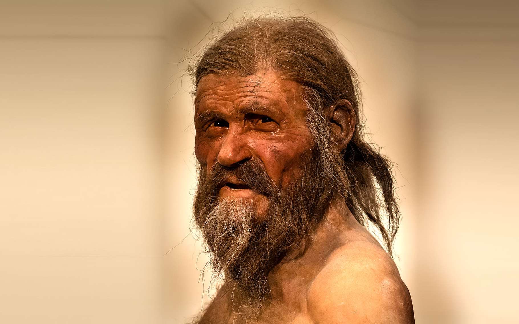 Préhistoire : l'Homme à la conquête de l'Asie | Dossier