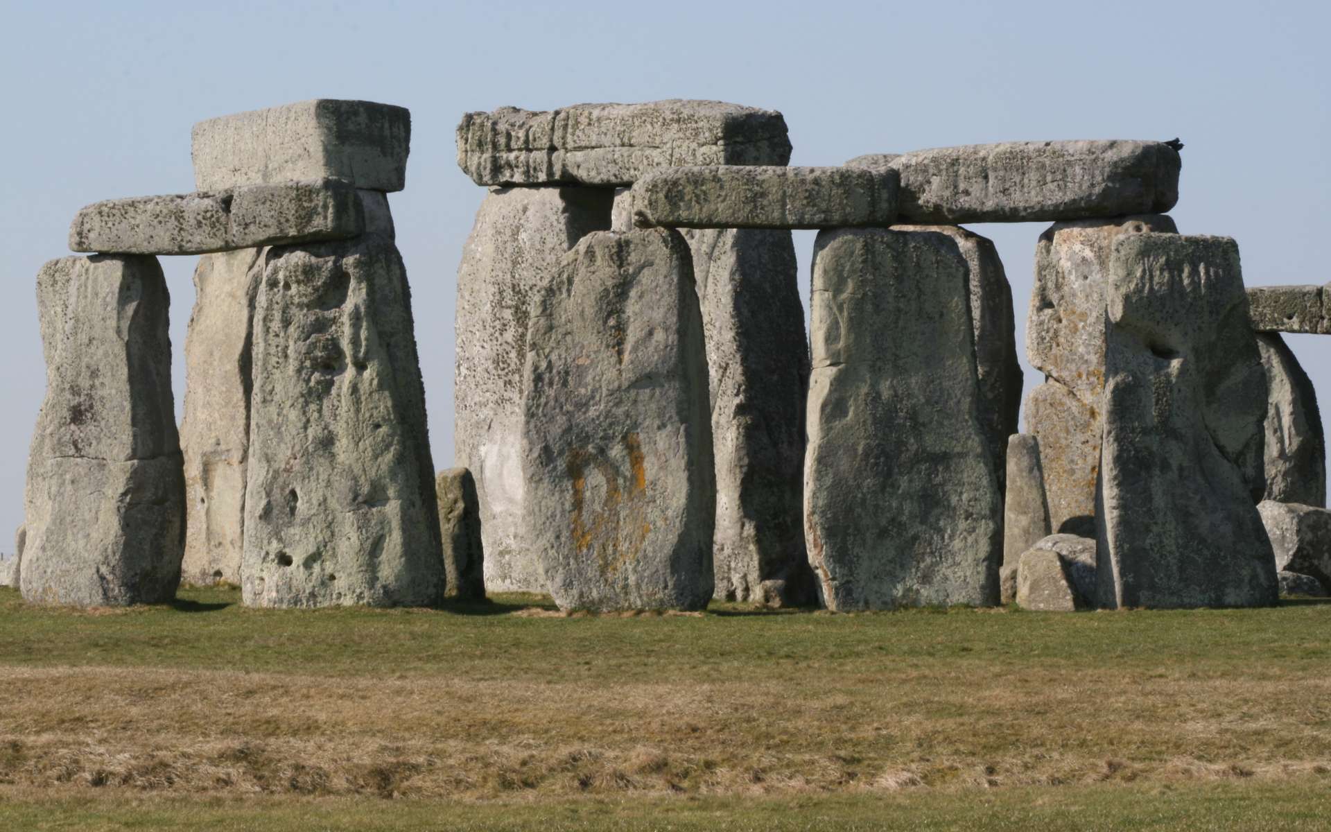 Science décalée : Stonehenge a-t-il été construit avec du lard
