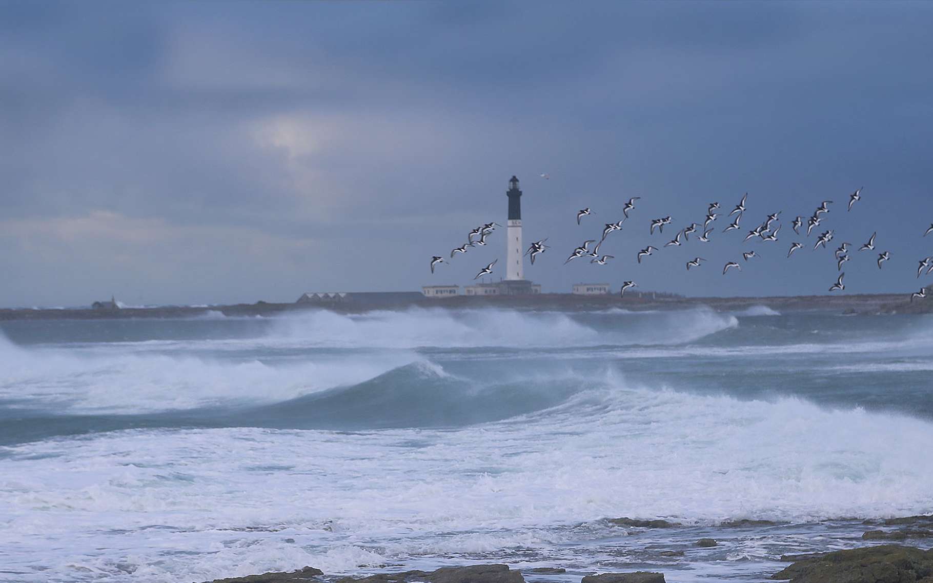 Le parc naturel d'Armorique, une large variété de paysages | Dossier
