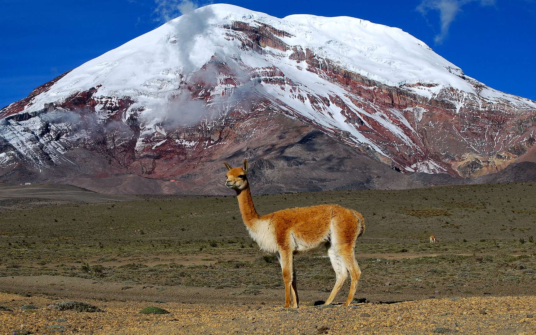 Photos | Découvrez les trésors naturels de l'Équateur