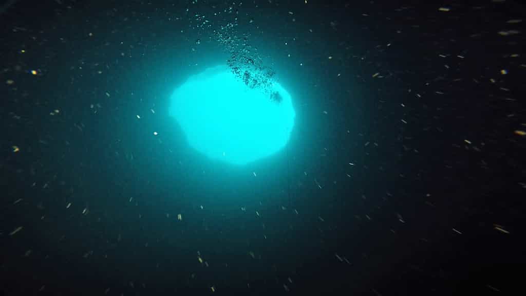 Les scientifiques partent explorer l’immense Trou bleu au large de la ...