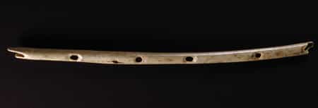Une flûte de 35.000 ans : le plus vieil instrument de musique du monde