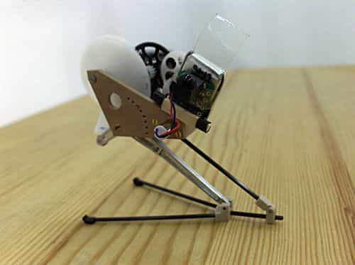 Un robot sauteur tout terrain
