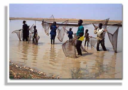 La pêche dans le Delta Central du Niger | Dossier