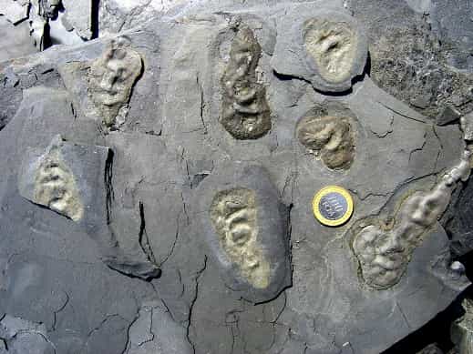 Au Précambrien, l’oxygène atmosphérique a eu des hauts et des bas