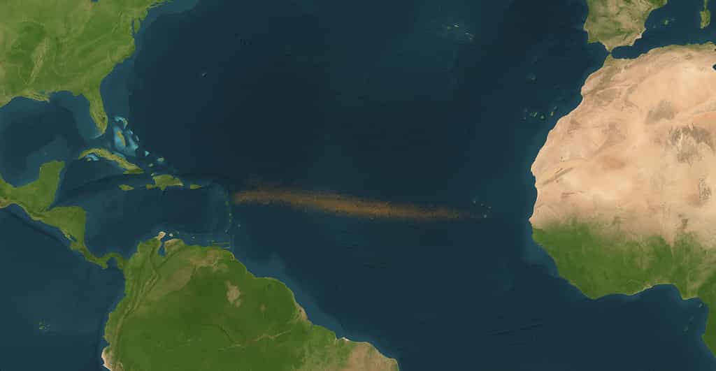 Nyepong fully versed, full GFE service, I highly advise her.