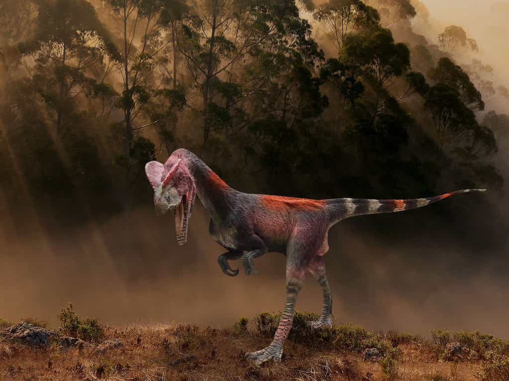 Dilophosaurus wetherilli