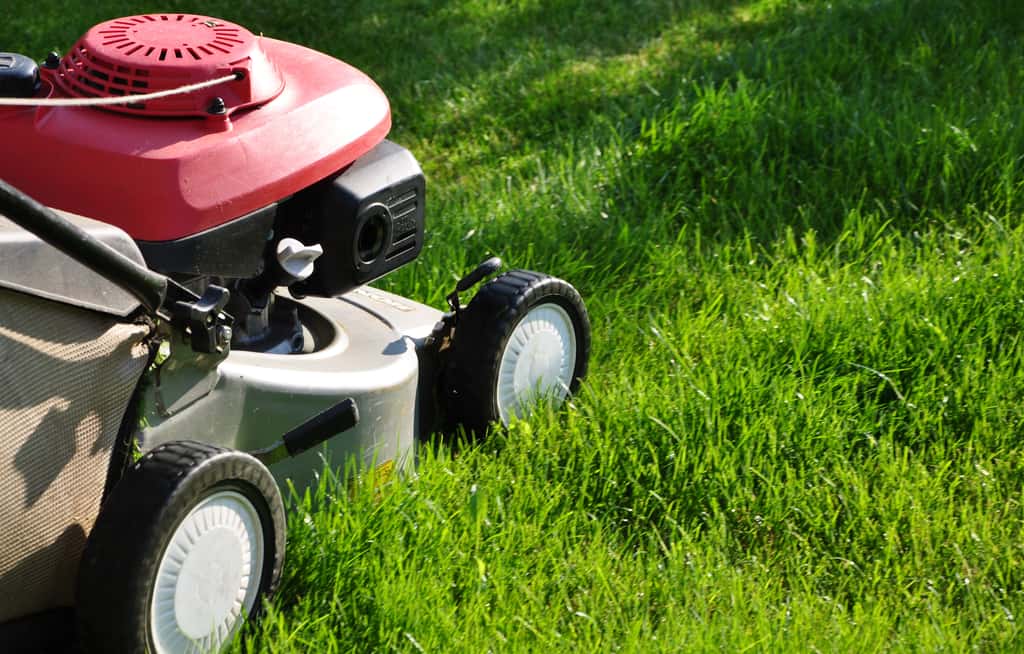 Quelles sont les top tondeuses débroussailleuses