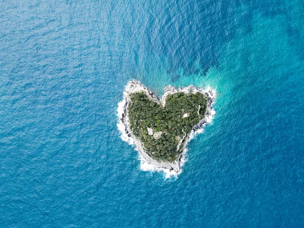 Il faut le voir pour le croire : ces 7 cœurs somptueux ont été façonnés ...