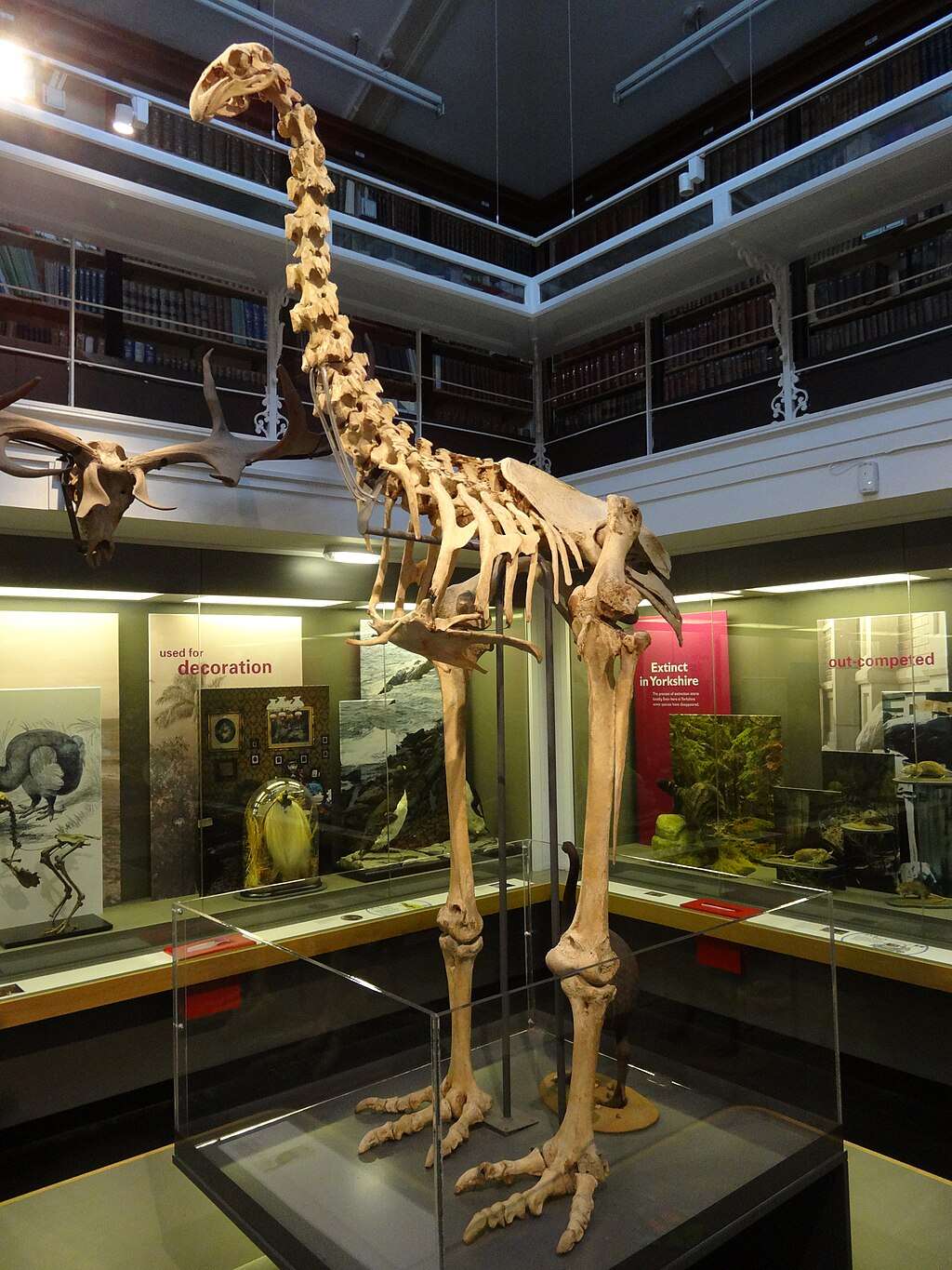 Ce célèbre réalisateur s’embarque dans un projet fou pour ramener à la ...