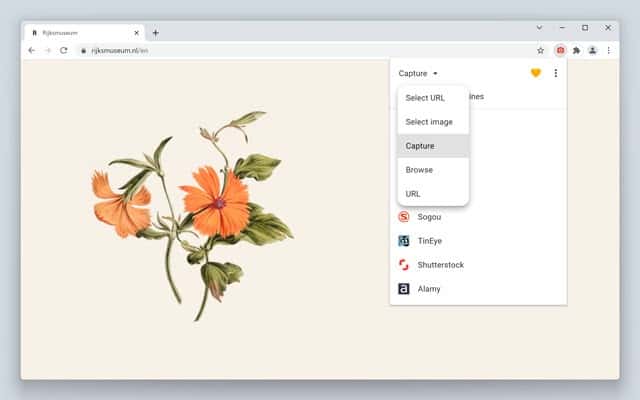 Définition | Search by Image — Extension multi‑moteurs de recherche d ...