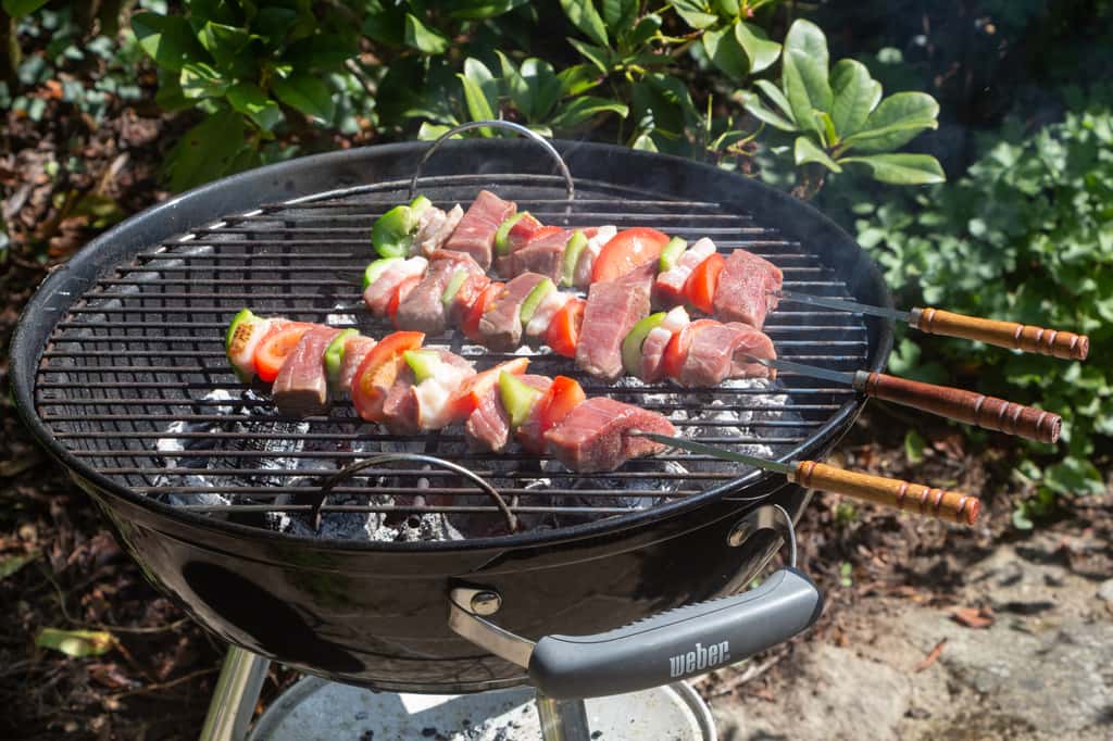 Quel barbecue électrique ou à charbon Weber choisir