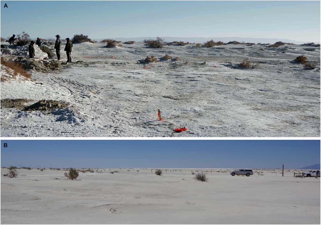 Cette découverte bouleverse tout : des empreintes de pas réécrivent l ...