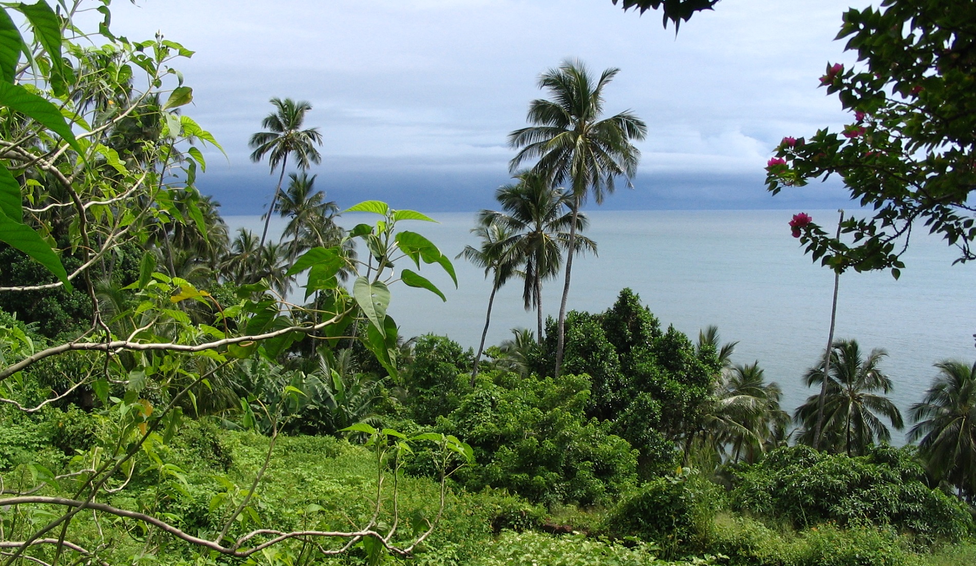 Guyane française : une « France équinoxiale » en Amérique