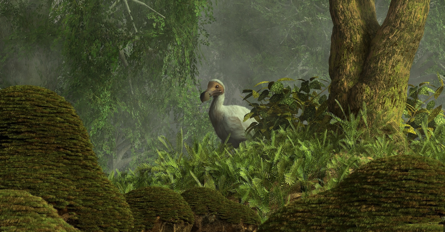 Le dodo va bientôt être de retour sur l’île Maurice, promet cette start ...