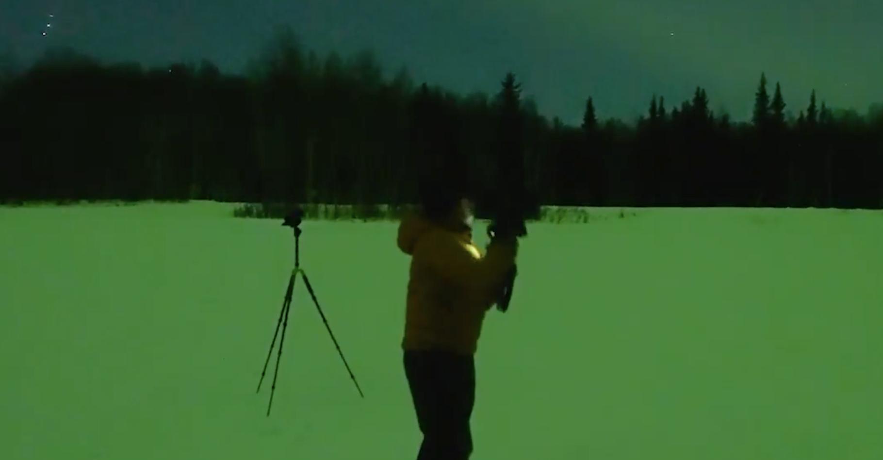 Phénomène rare : le sol s’est illuminé d’une lueur verte surréaliste ...