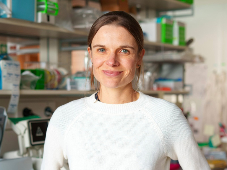 Les travaux pionniers d'Andrea Ablasser : une avancée majeure dans la ...