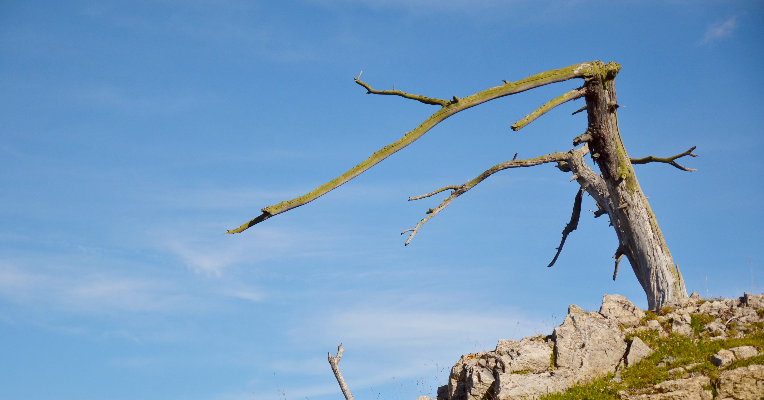 Beldots onlyfans leaked her location was very discreet but