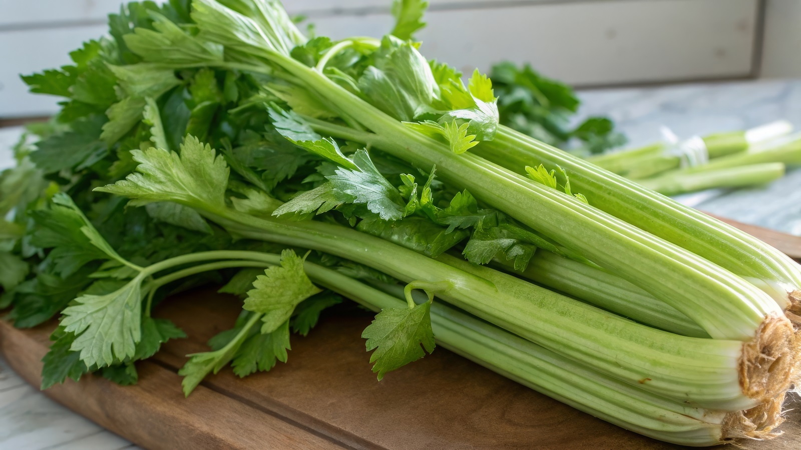 Comment réussir la culture du céleri-branche