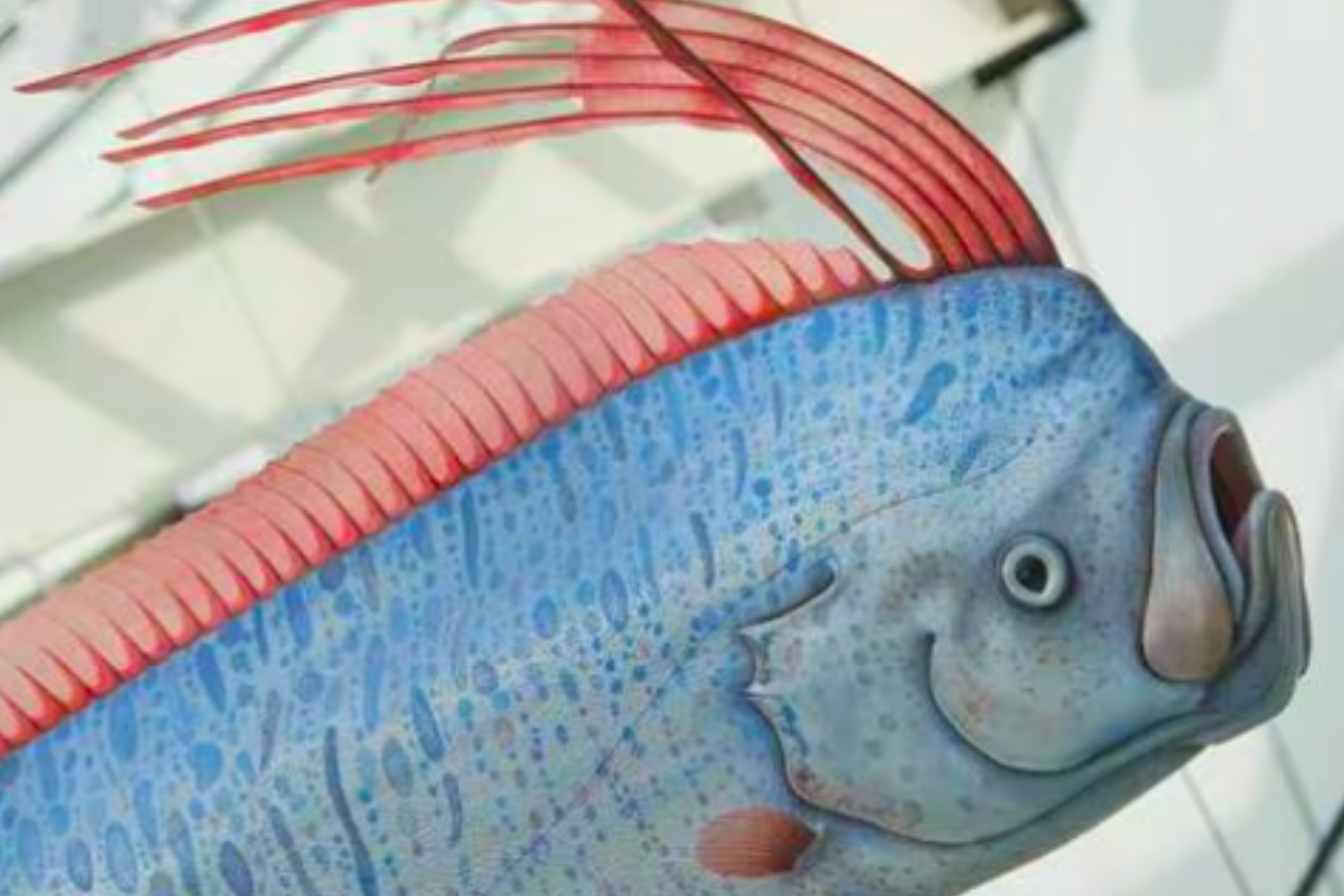 Ce poisson des abysses serait lié aux séismes : mythe ou réalité