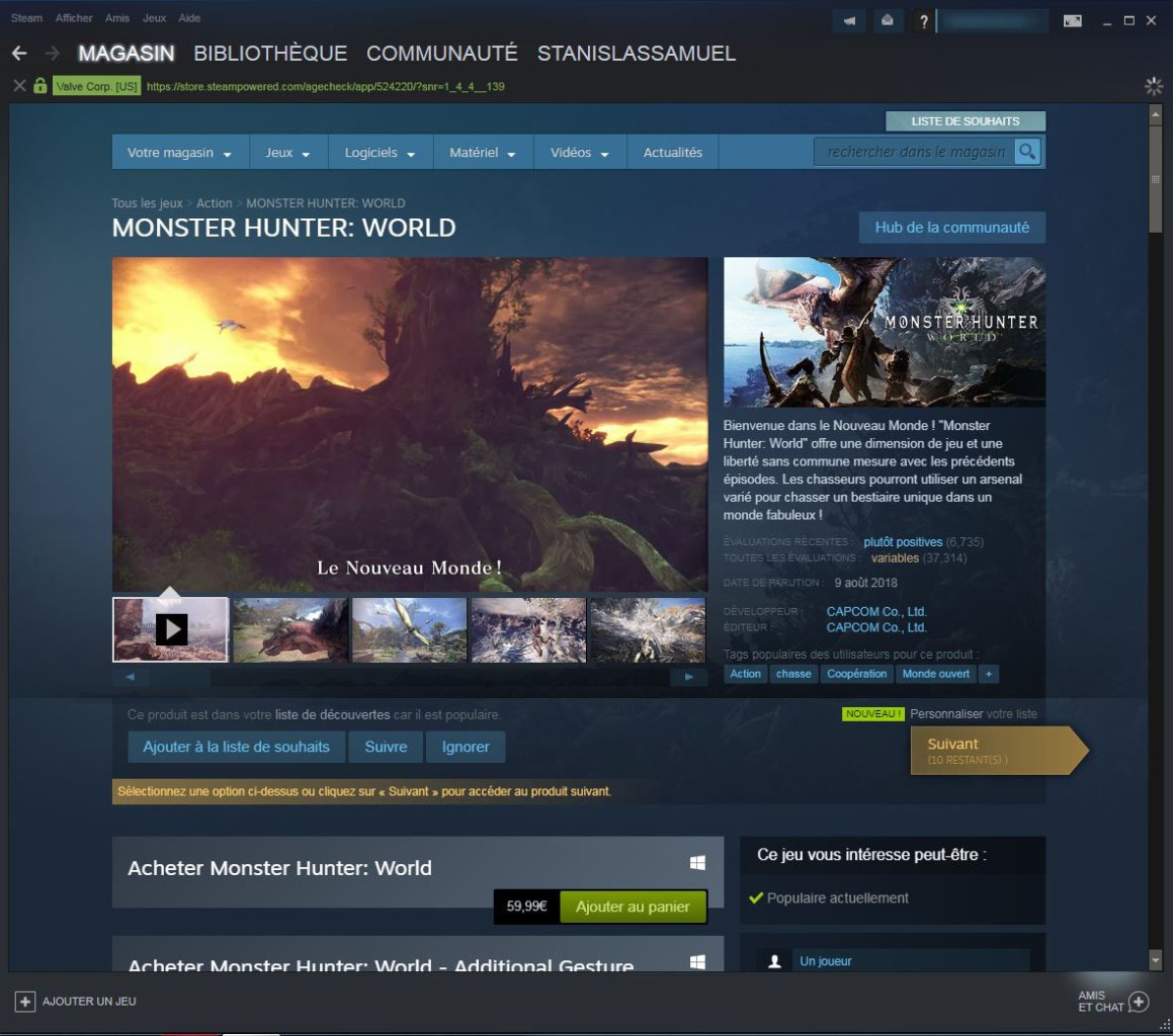 Définition | Steam — Présentation, téléchargement et guide complet