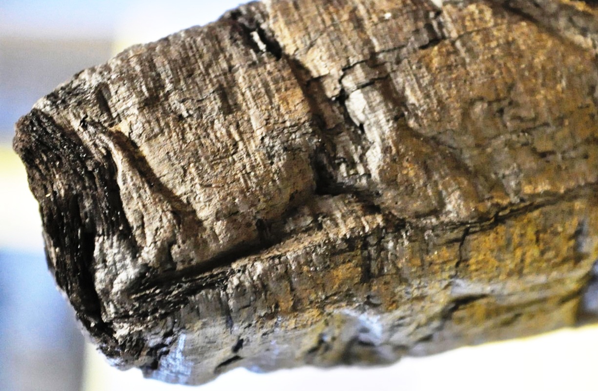 Un papyrus de 2000 ans décodé grâce à l’IA