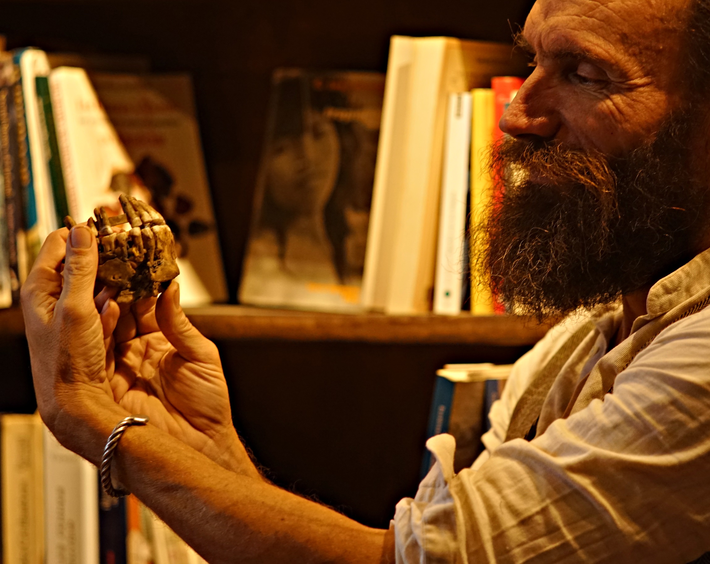 Disparition de Néandertal : pour le chercheur Ludovic Slimak, « sa ...