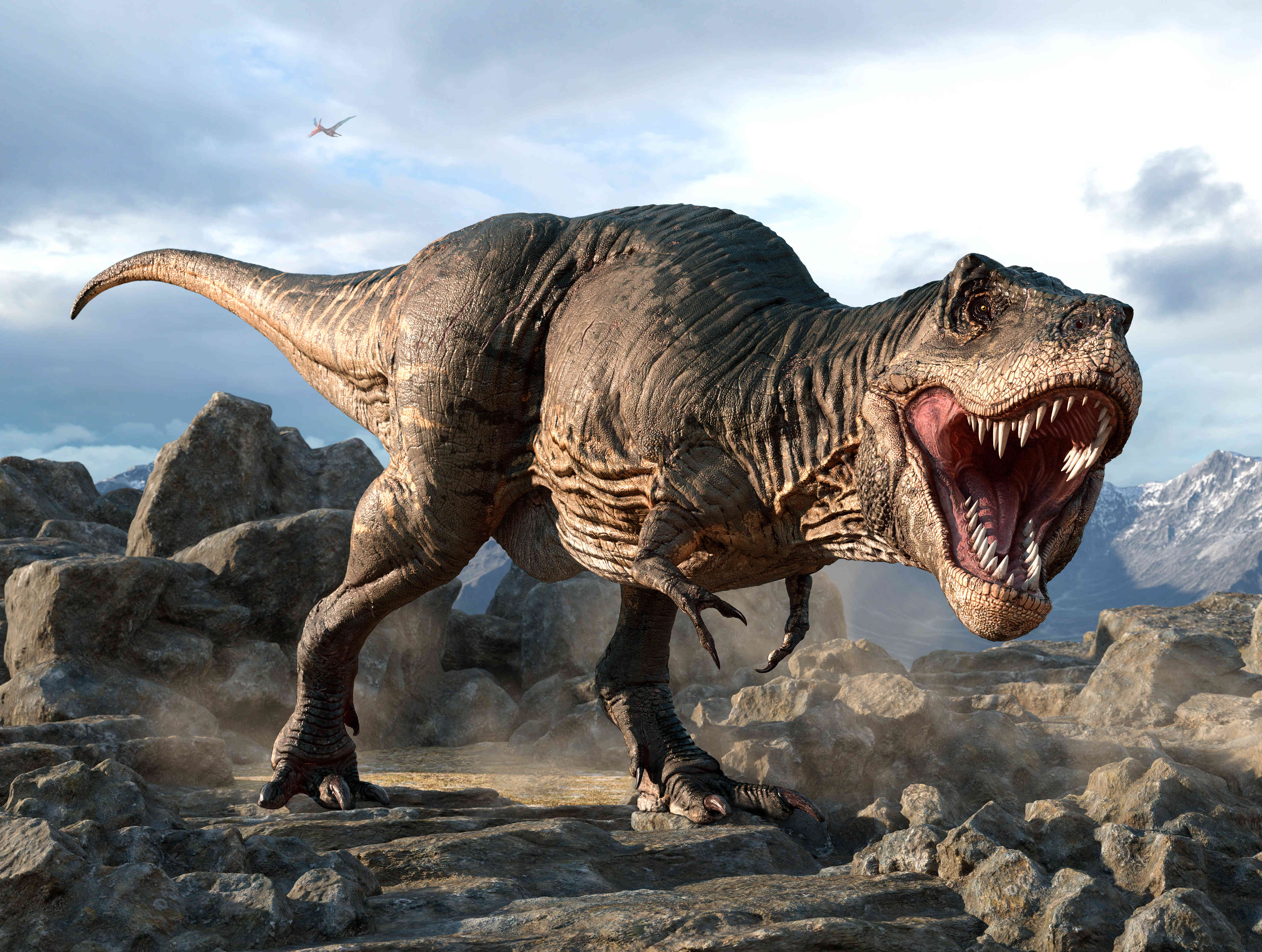 Tyrannosaurus Rex Harley Skull Replica Tyrannosaurus Rex Harley Skull Replica